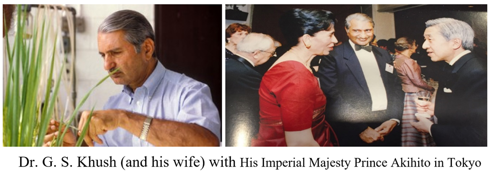 The Indian Scientist who developed High-yielding 300 varieties of Rice ...